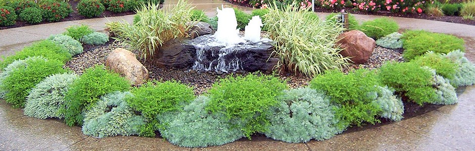 Dreamscape Landscaping: Transform Your Outdoors into Beauty