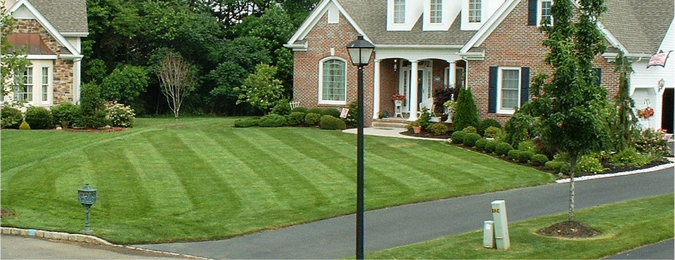 A cut above landscaping store
