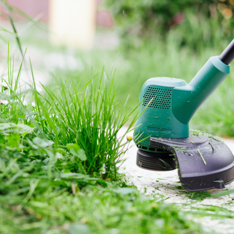 Lawn Edgers: Create Crisp, Clean Lines in Your Landscape - Pristine Landscaping & Lighting
