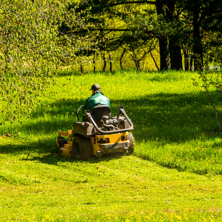 Essential Lawn Mower Parts and Their Functions - Pristine Landscaping & Lighting